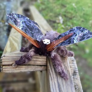Death Head Moth Soft Sculpture, Ooak, Textile Taxidermy, Faux ...
