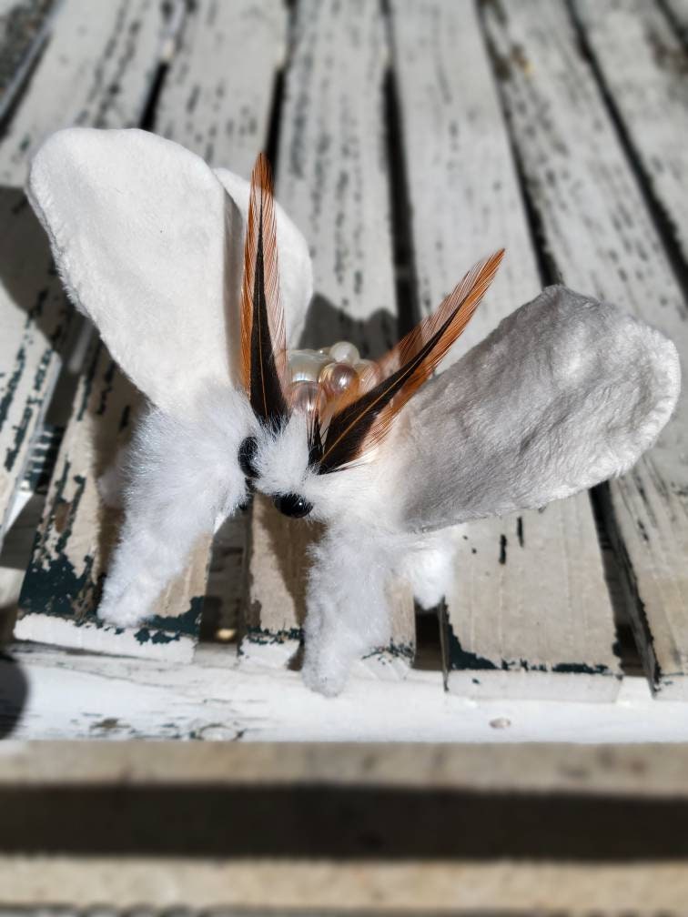 Poodle Moth Pet