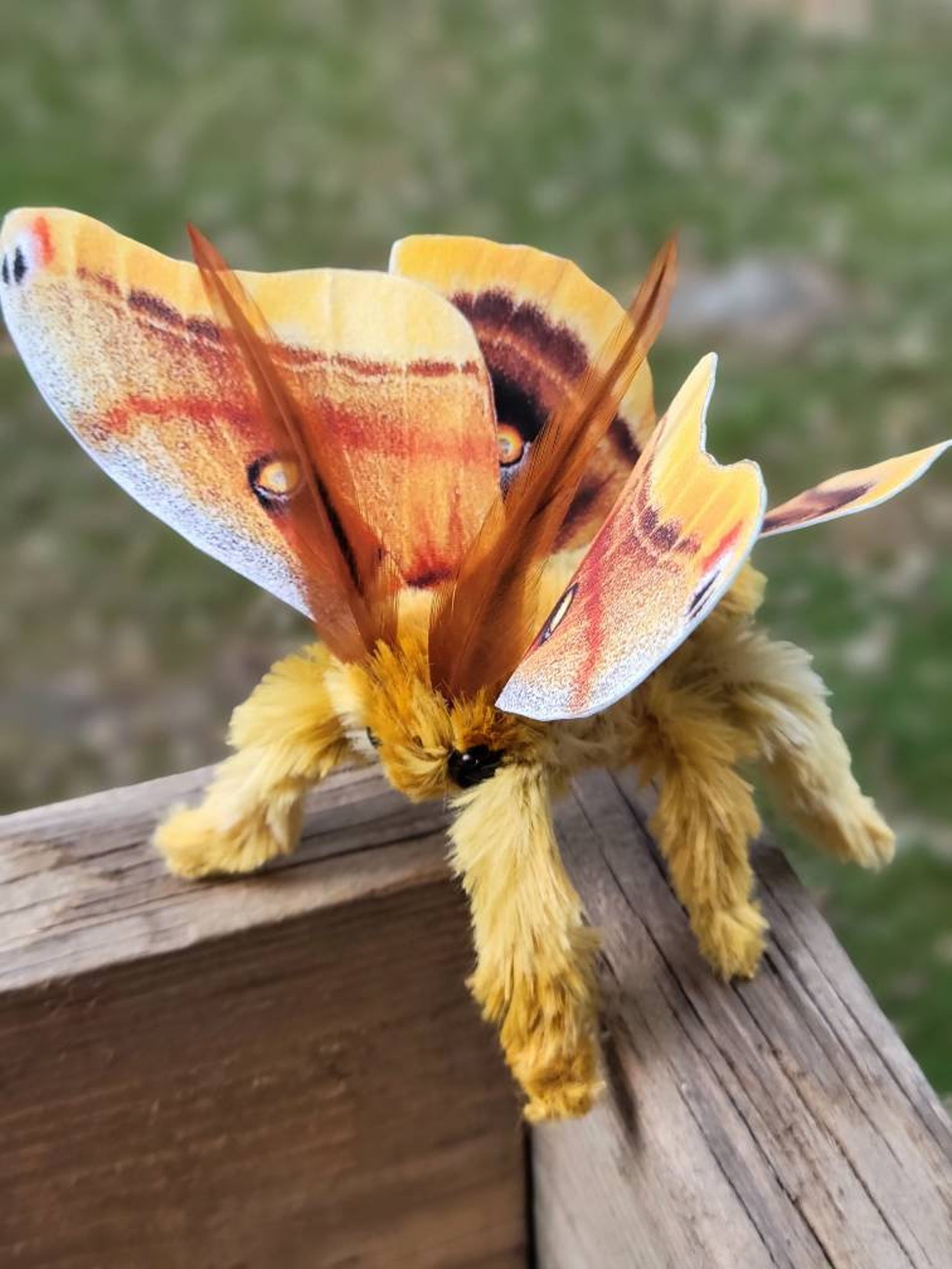 Honey Moth Butterfly Textile Sculpture Textile Art Textile - Etsy