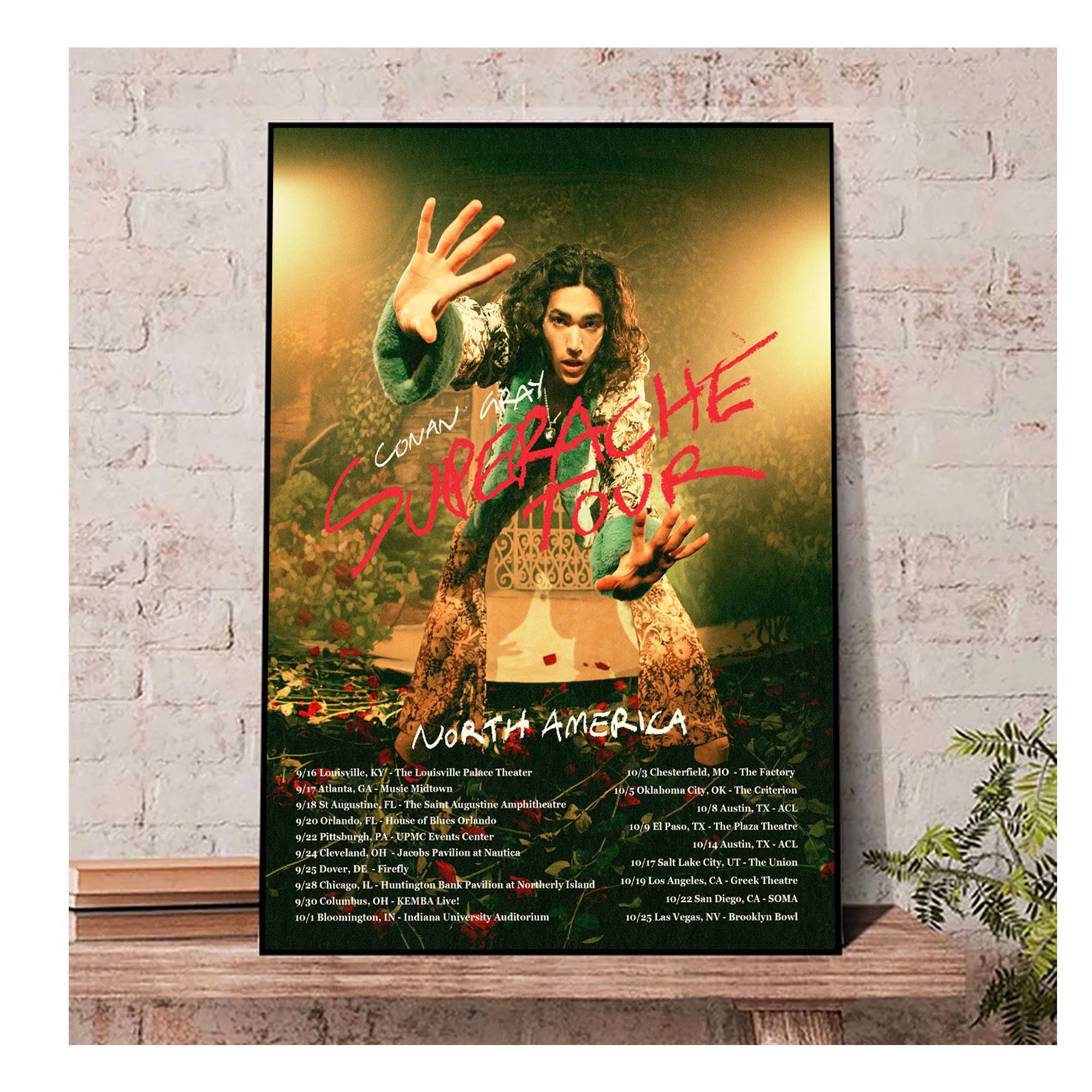 Conan Gray Superache Tour 2022 Poster, Conan Gray Fan Gifts Superache ...