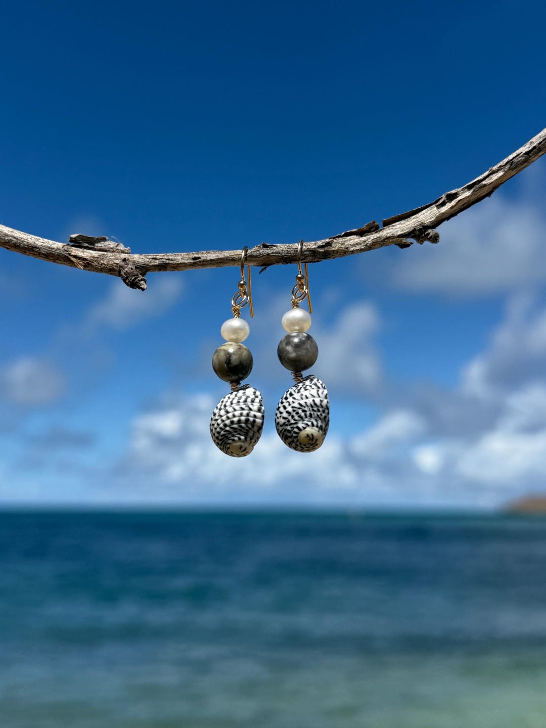 Checkered Nerite Shell Earrings - Etsy