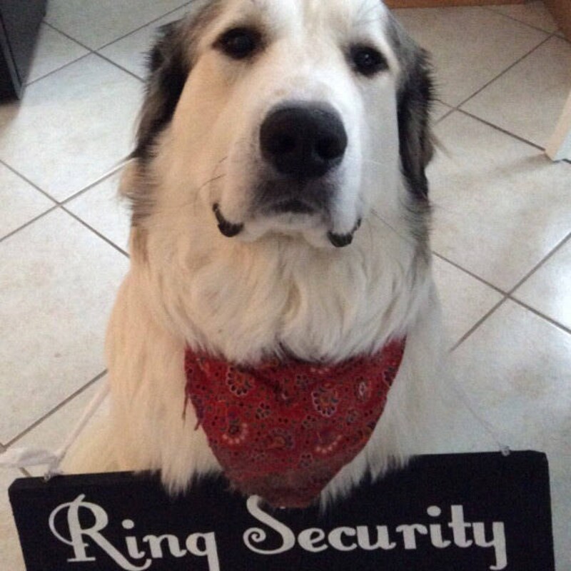 Ring Security Sign - Etsy