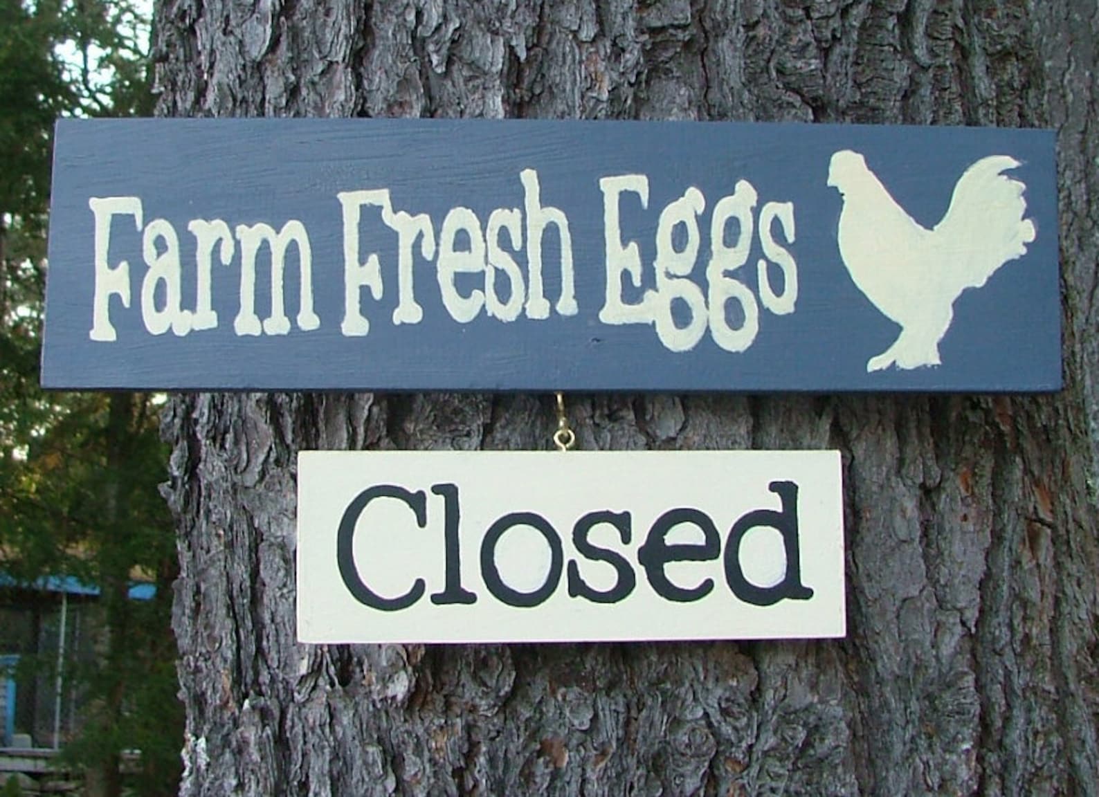 Hens on Strike No More Eggs Today Chicken Signs Roadside - Etsy