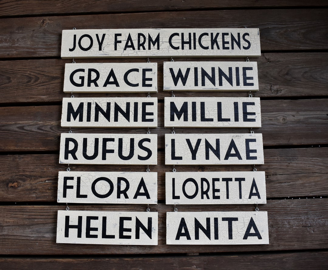 Coop Chicken Name Signs | Personalized Goat House Signs | Duck Names ...