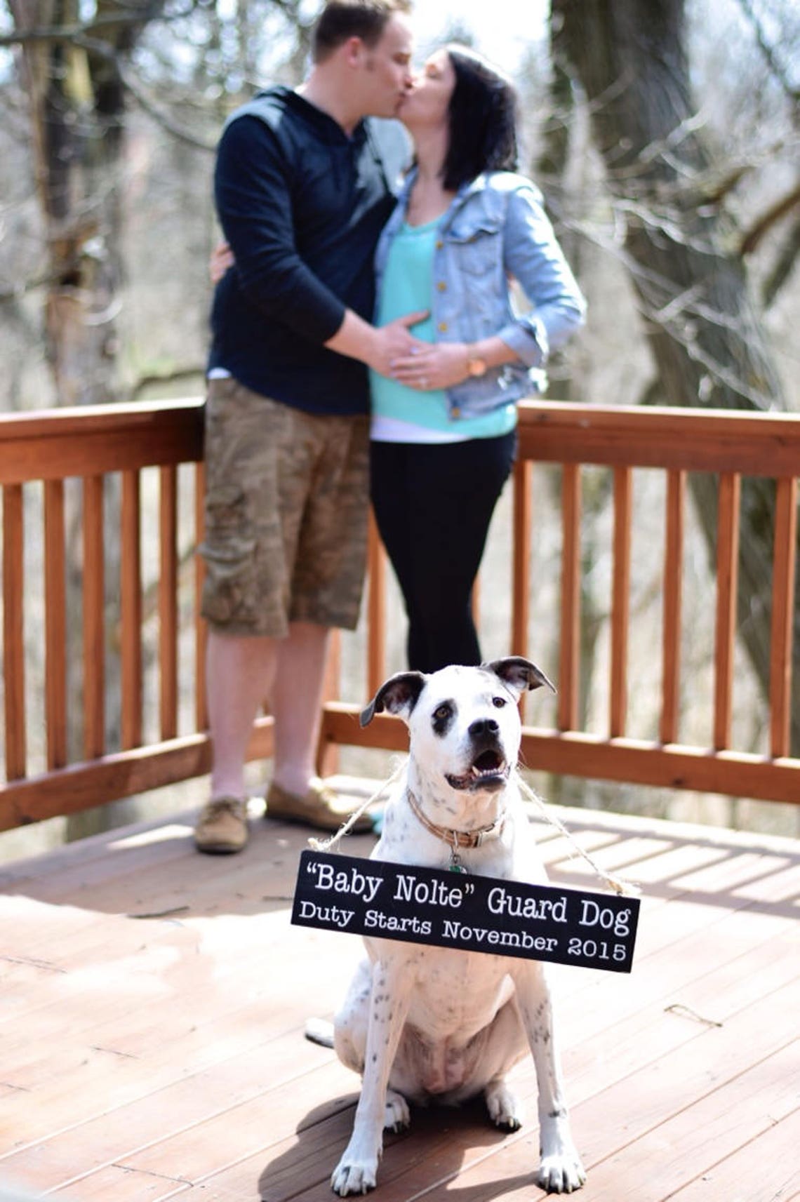 Pregnancy Announcement Dog Sign Expecting Baby Guard Photo | Etsy