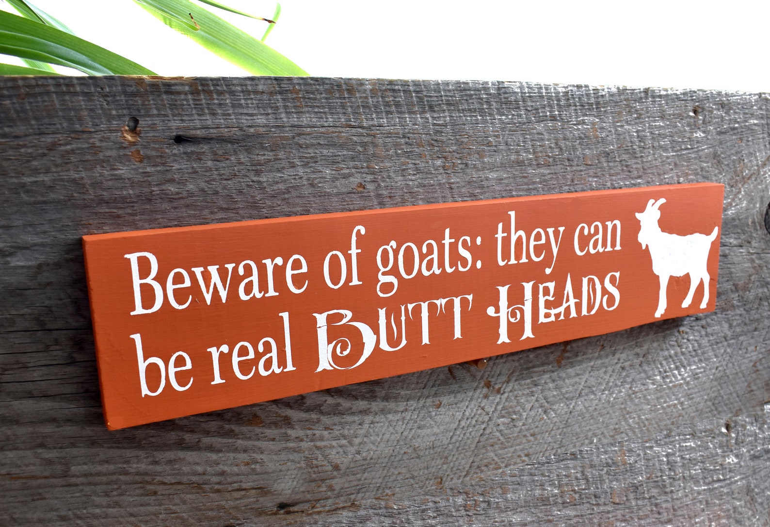 Beware of Goats They Can Be Real Butt Heads | Gift for Goat Lover - Etsy