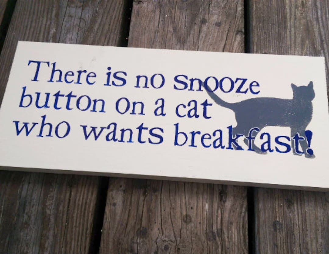 There is No Snooze Button on a Cat Who Wants Breakfast Funny Cat Sign ...