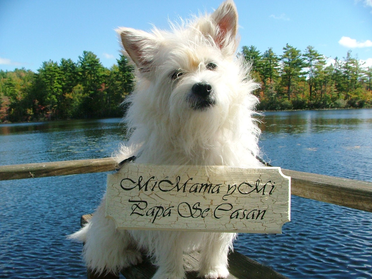 Custom Engagement Announcement Sign | Personalized Wedding Save the ...