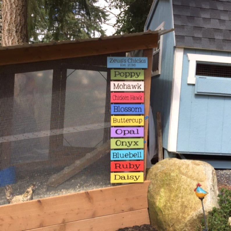 Chicken Name Signs Custom Coop Decor Flock or Farm Animal - Etsy