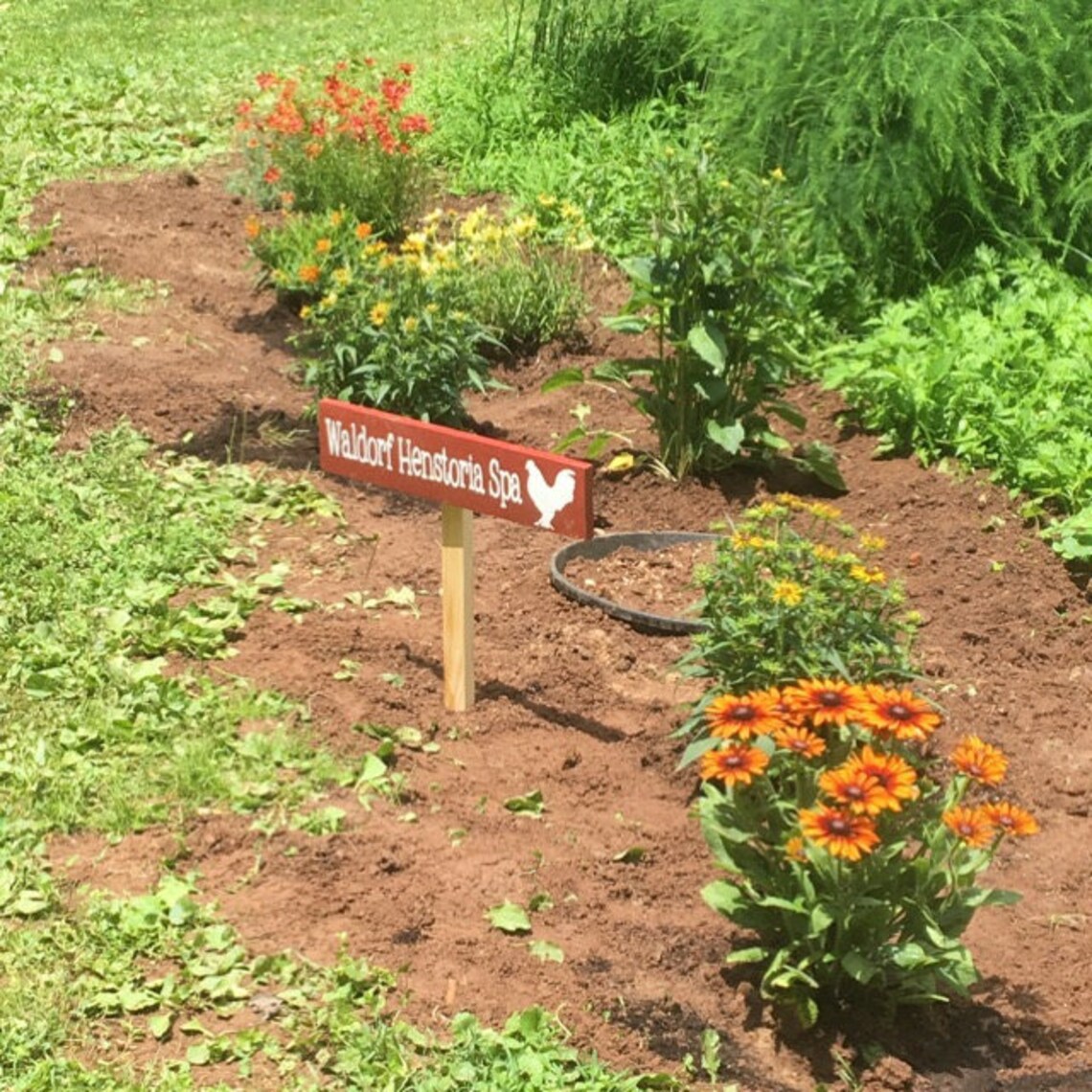 Custom Garden Stake Sign Personalized Outdoor Wooden Staked | Etsy