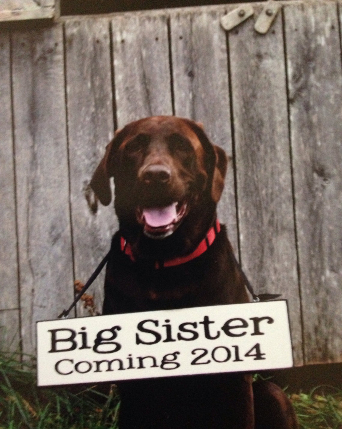 Pregnancy Announcement Dog Sign Expecting Baby Guard Photo | Etsy