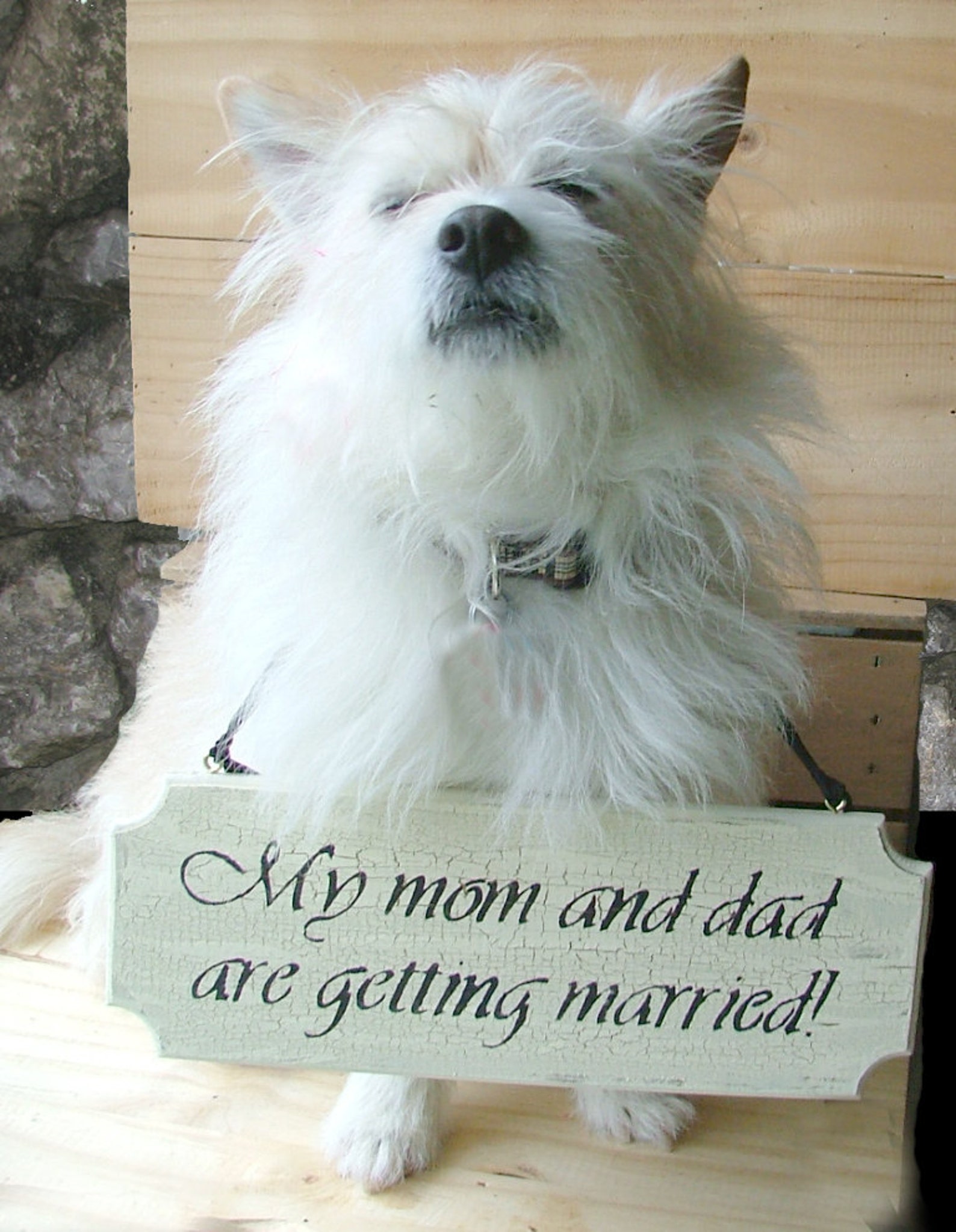 Custom Engagement Announcement Sign | Personalized Wedding Save the ...