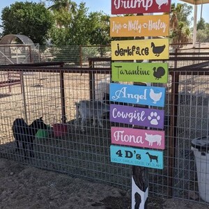 Chicken Name Signs | Custom Coop Decor | Flock or Farm Animal Name ...