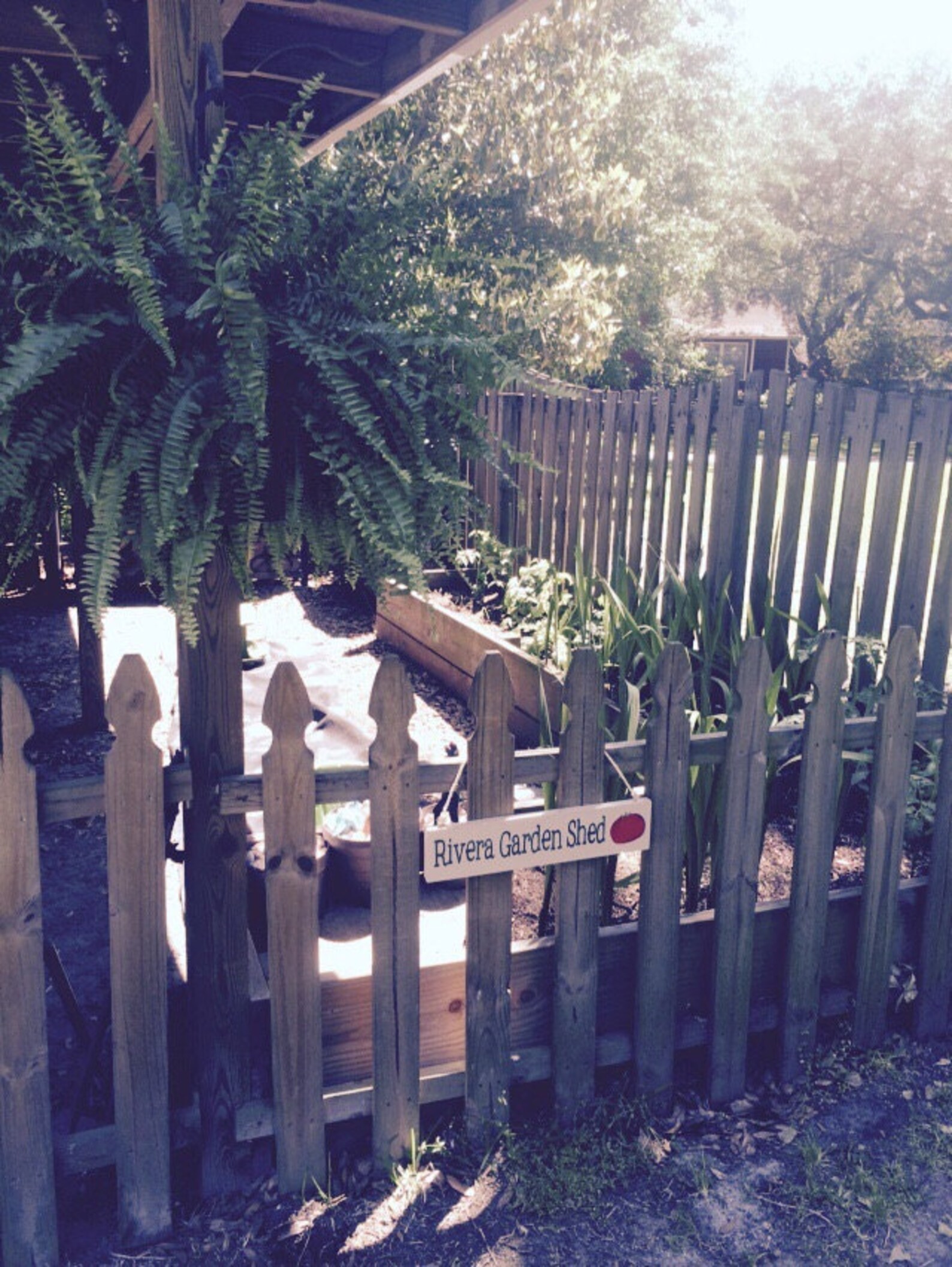 Custom Garden Sign Personalized a Wooden Outdoor Sign Great | Etsy