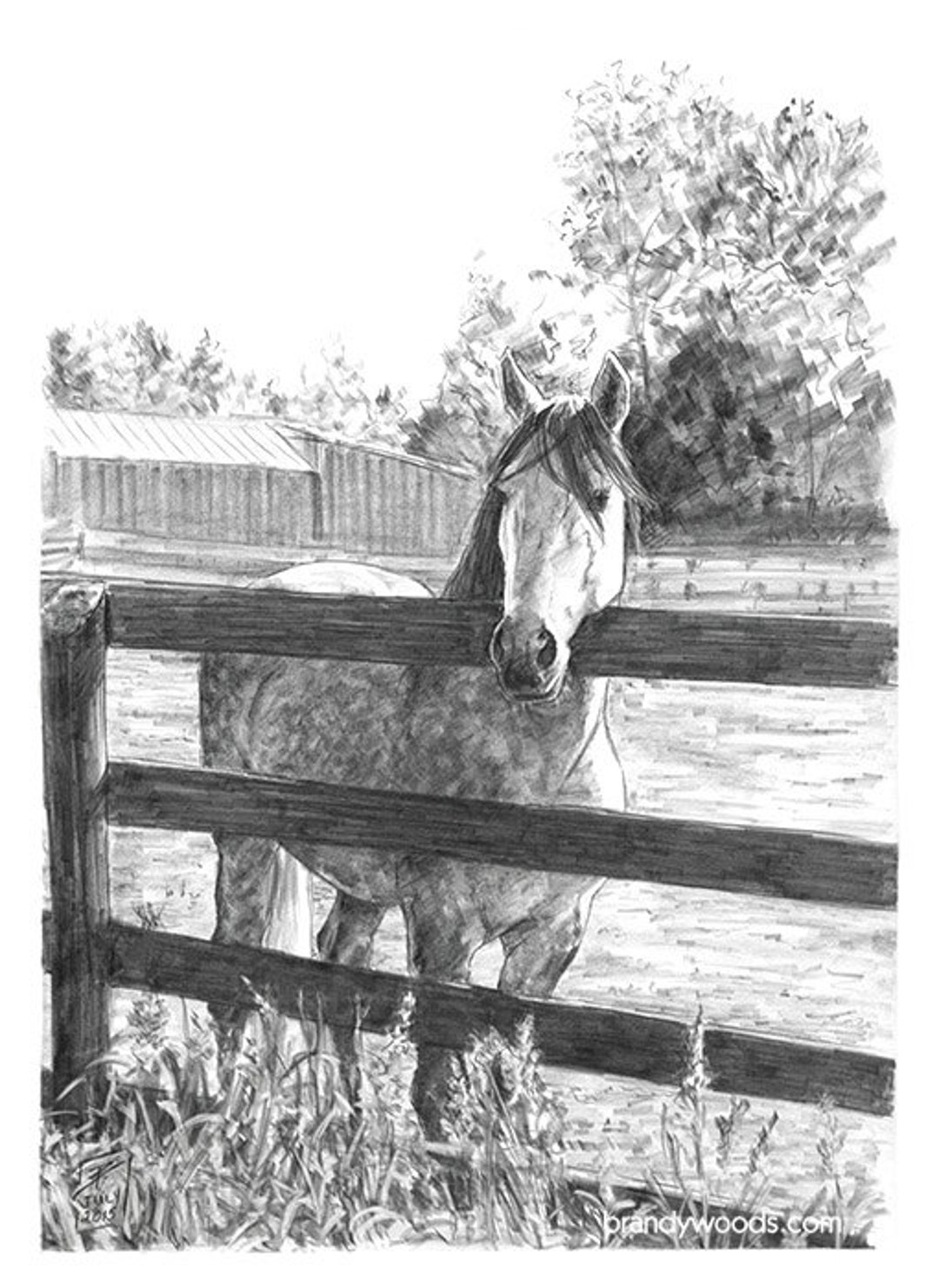 Horse at Fence Ranch Pencil Drawing Sketch Art Artwork Print 8.5 X 11 ...