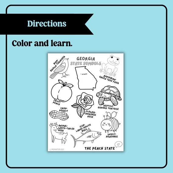 Georgia State Tree Coloring Page