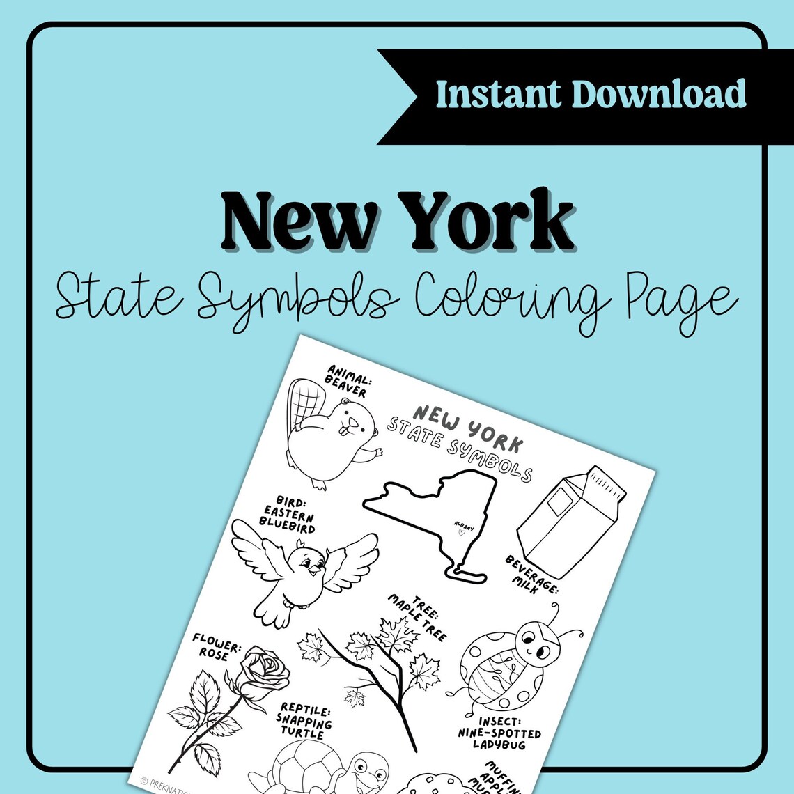 Instant Download New York State Symbols Coloring Page - Etsy