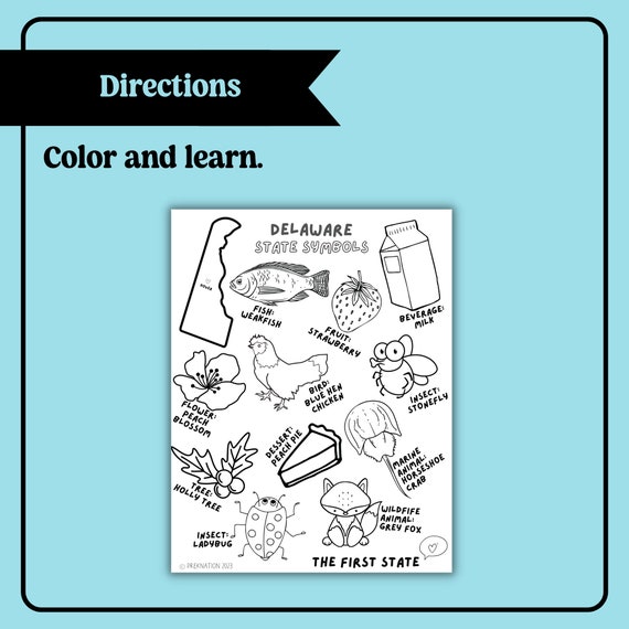 Delaware State Tree Coloring Page