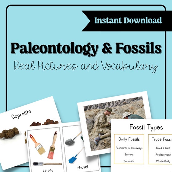 Paleontology Tools