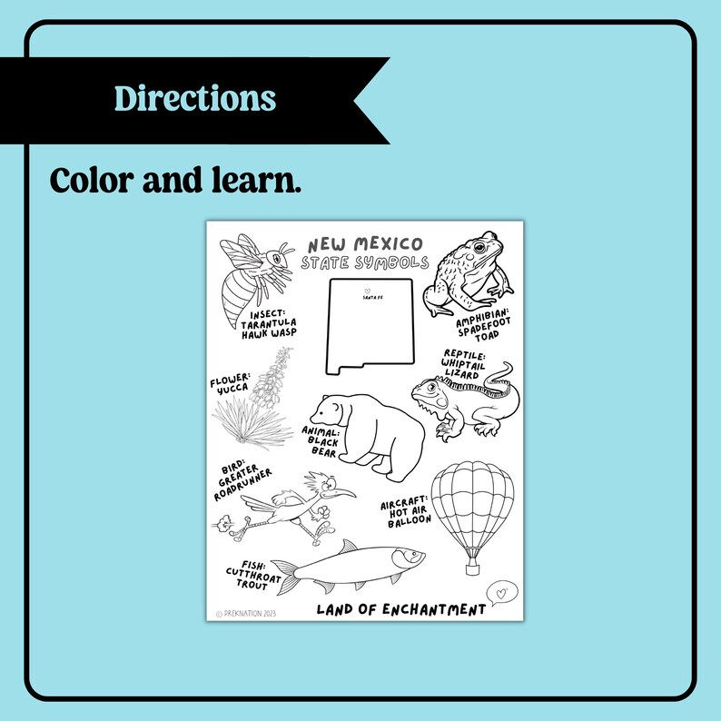Instant Download New Mexico State Symbols Coloring Page - Etsy