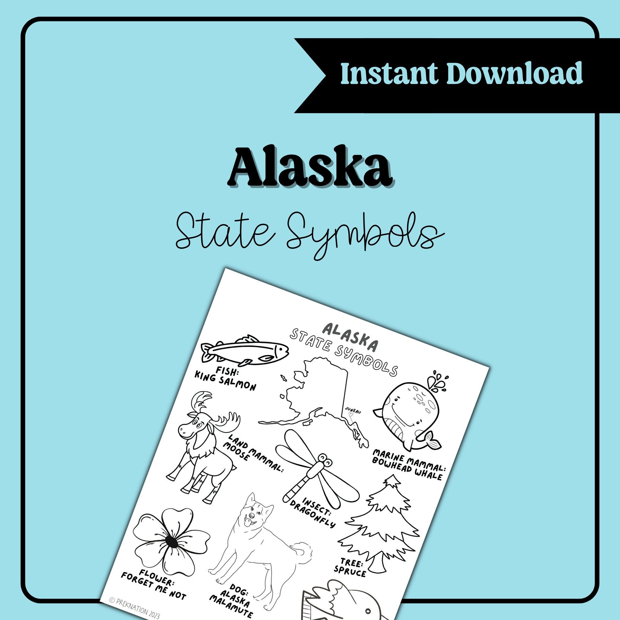 Alaska Salmon Coloring Pages