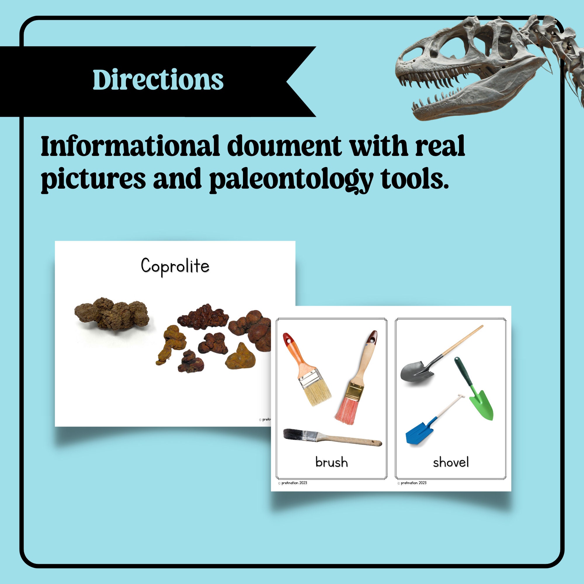 Paleontology Tools