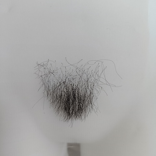 Merkin Pubic Wig - Etsy