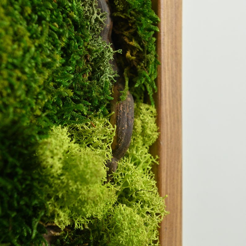Moss Wall Art With Bonsai Wood, Vertical Handmade Preserved Green Panel ...