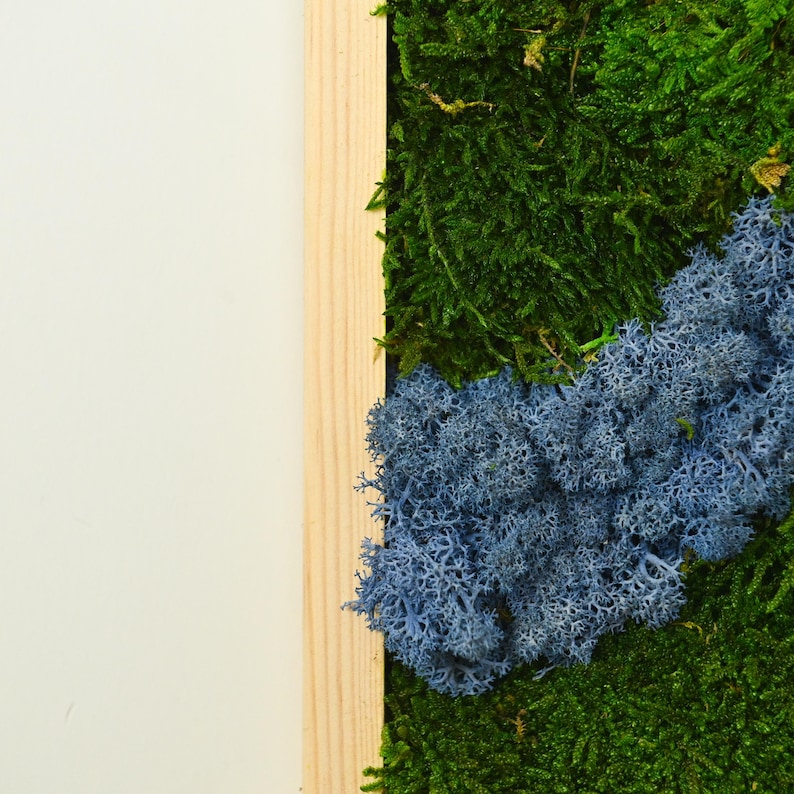 Vertical Preserved Moss Wall Art, Modern Biophilic Decor - Etsy