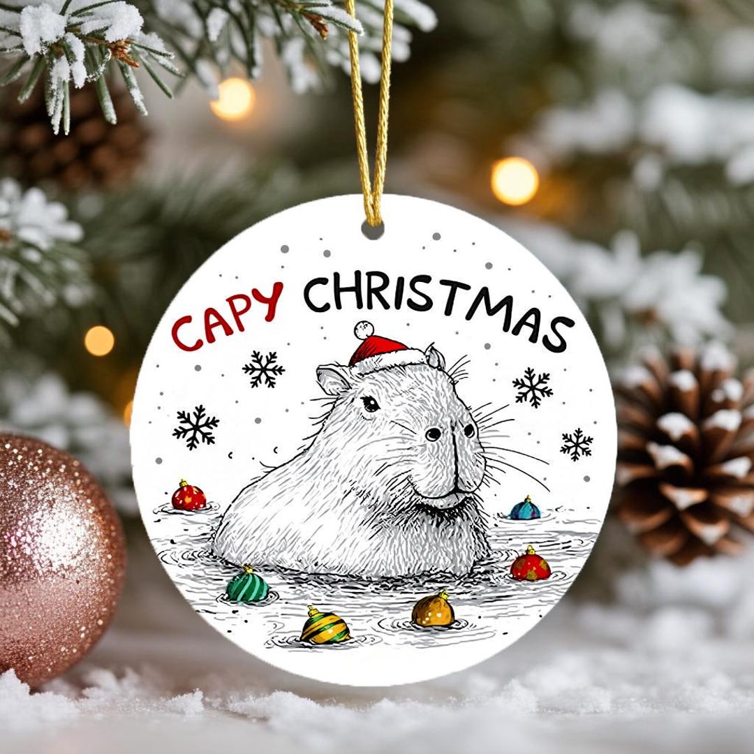 Capybara Christmas Ornament 2025, Funny Round Ceramic Tree Decor, Cute ...