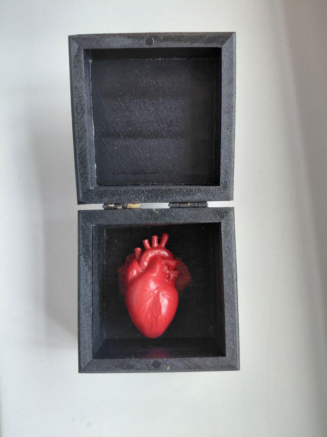 Anatomical Heart in a Box. A Valentine's Day or Anniversary Gift. - Etsy