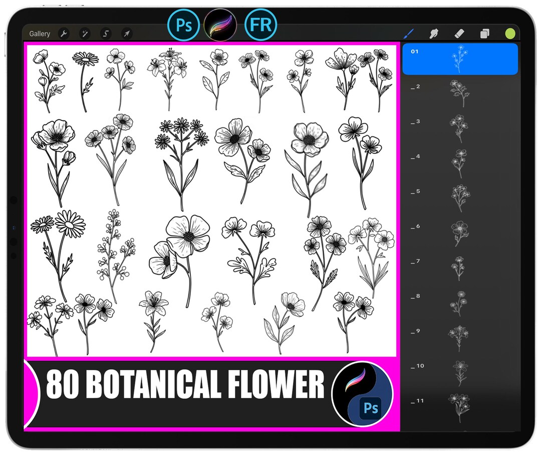 80 Botanical Flower Stamp Brushes | Procreate & Photoshop (abr/brushset ...