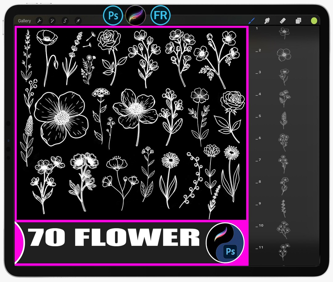 70 Flower Stamp Brushes | Line Art Procreate, Photoshop (abr/brushset ...