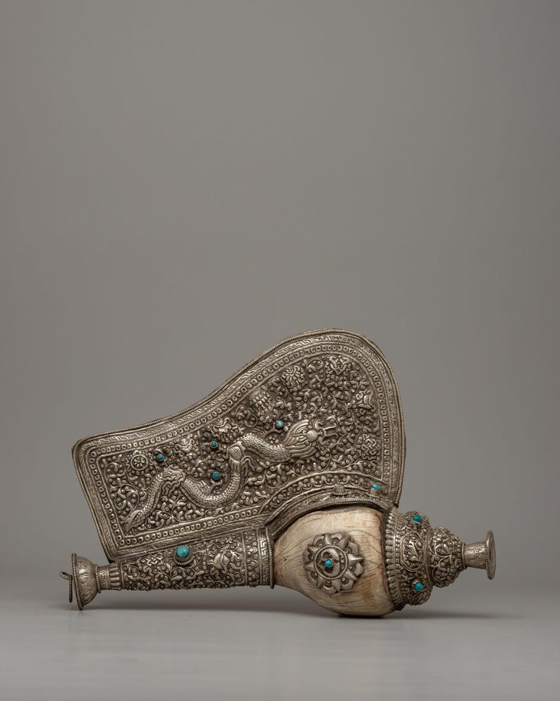 Carved Conch Shell | A Symbol of Natural Beauty and Artistic ...