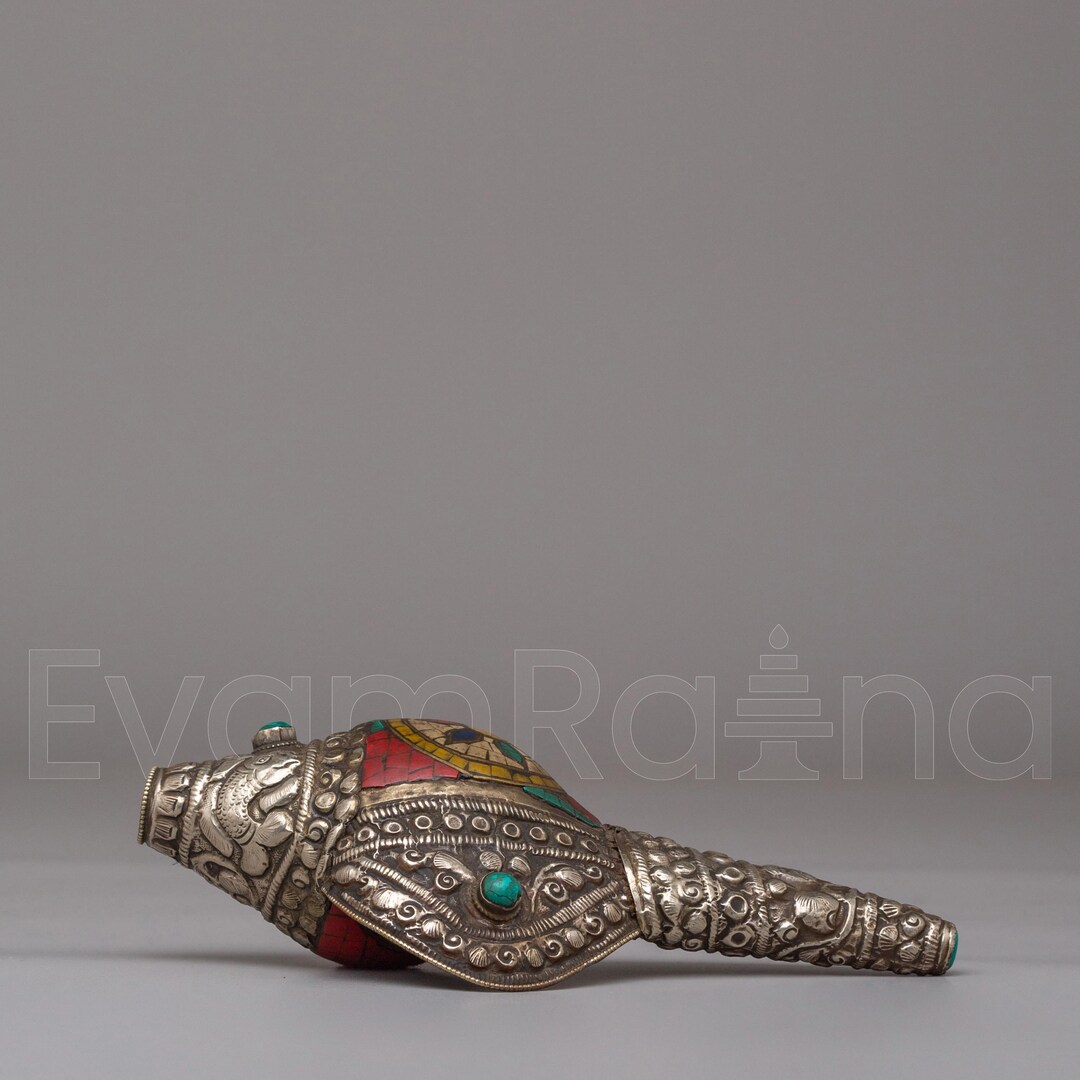 Traditional Buddhist Conch Shell Decor | Tibetan Ritual Conch With ...