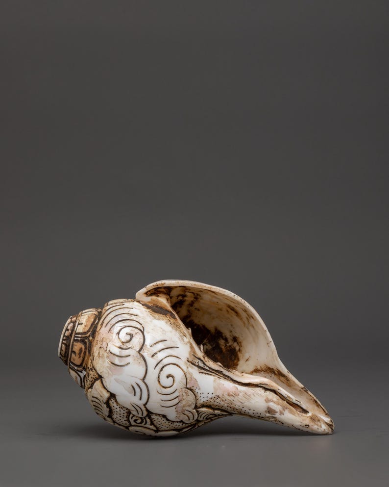 Himalayan Ritual Conch | Hand-carved Buddhist Shankha With Auspicious ...