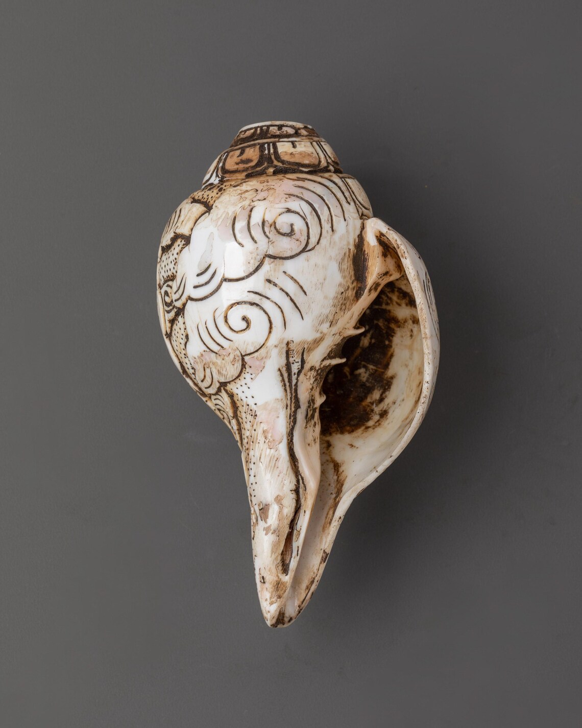 Himalayan Ritual Conch | Hand-carved Buddhist Shankha With Auspicious ...