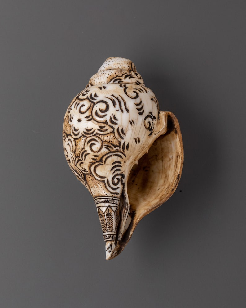 Handcrafted Tibetan Conch Shell | Symbol of Sacred Sound and Blessings ...