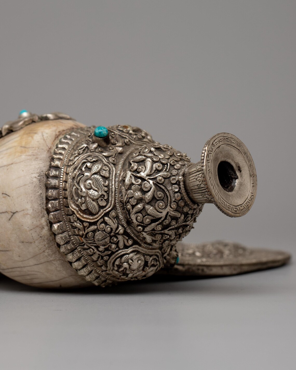 Carved Conch Shell | A Symbol of Natural Beauty and Artistic ...