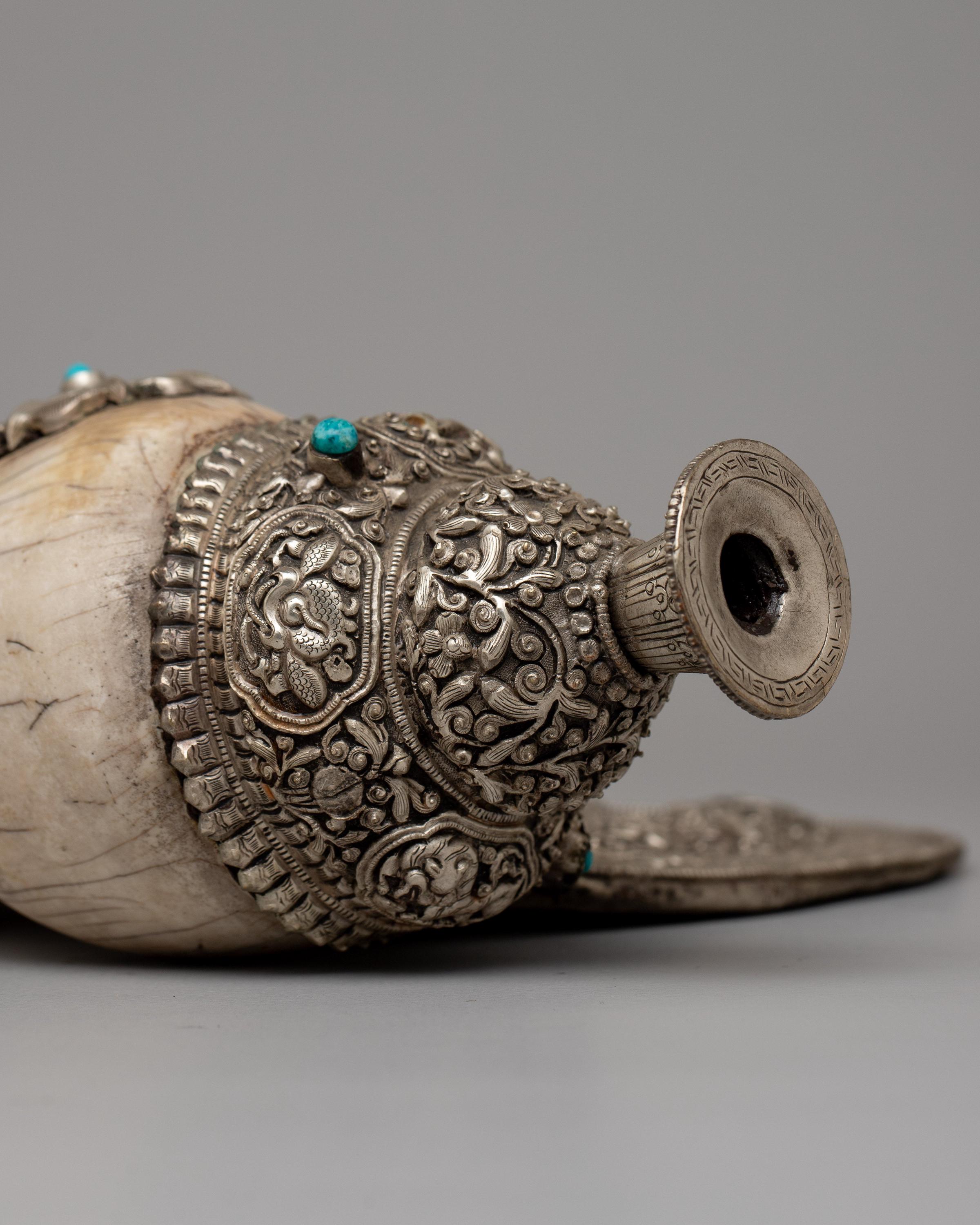 Carved Conch Shell | A Symbol of Natural Beauty and Artistic ...