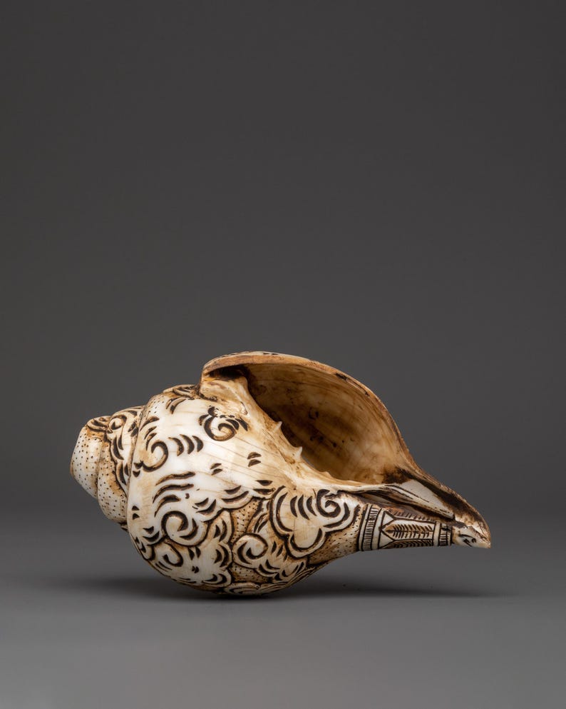 Handcrafted Tibetan Conch Shell | Symbol of Sacred Sound and Blessings ...