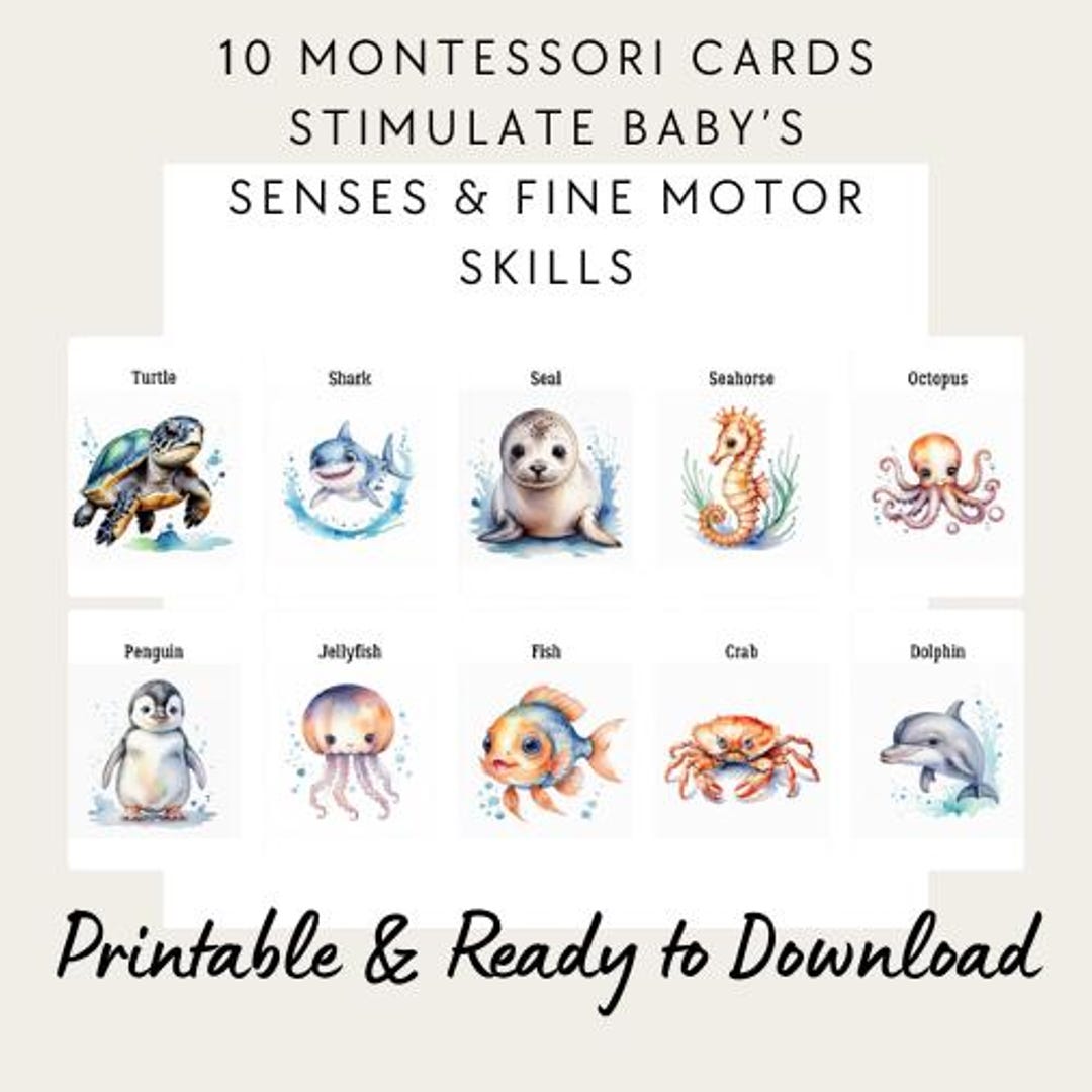 10 Sea Animals Flash Cards | Montessori Printable PDF - Etsy Australia