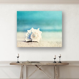 Sea Shell Wall Decor - Beach Canvas Wall Art, Shell Artwork, Coastal ...