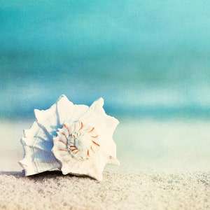 Aqua Blue Beach Photography Set - 9 Ocean Nautical Prints, Cream Beige ...