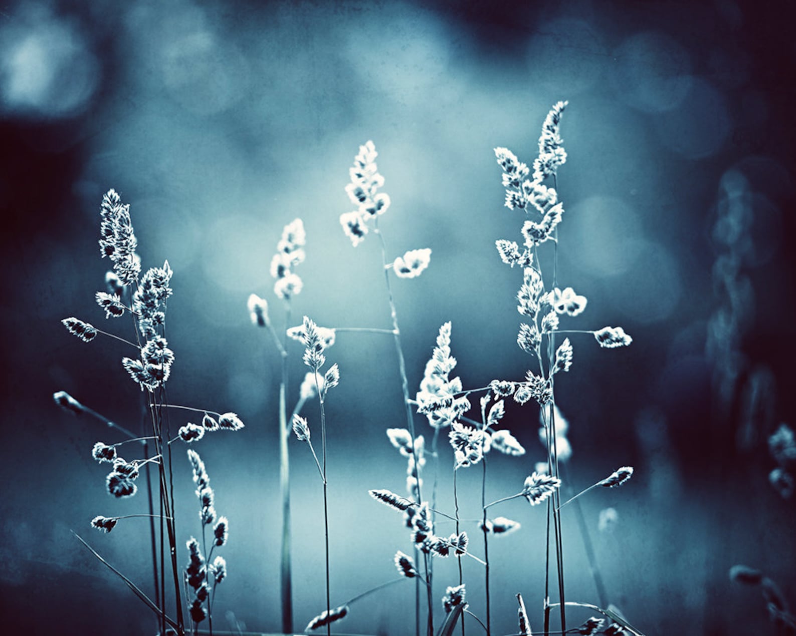 Navy Wall Art Set Dark Blue Photography Three Nature Photos - Etsy