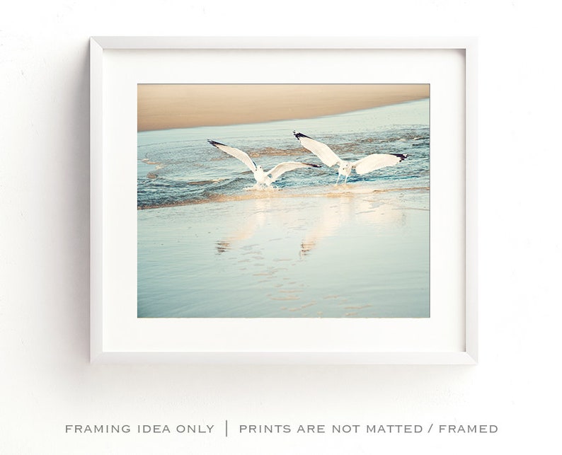 Seagull Print Shore Bird Photography Beach Artwork Modern - Etsy