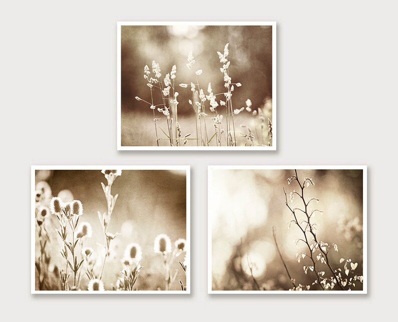 Modern Rustic Decor Botanical Print Set of 3 Nature Wall - Etsy