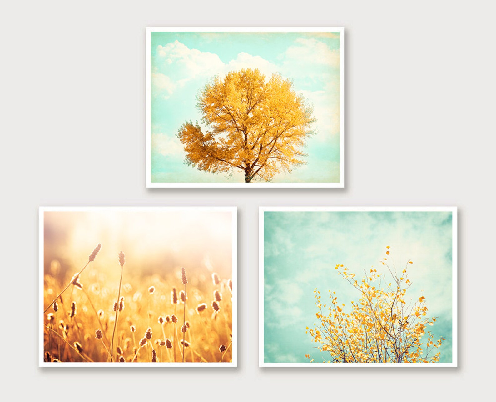 Set of Three Wall Art Nature Photography Set Botanical Print | Etsy