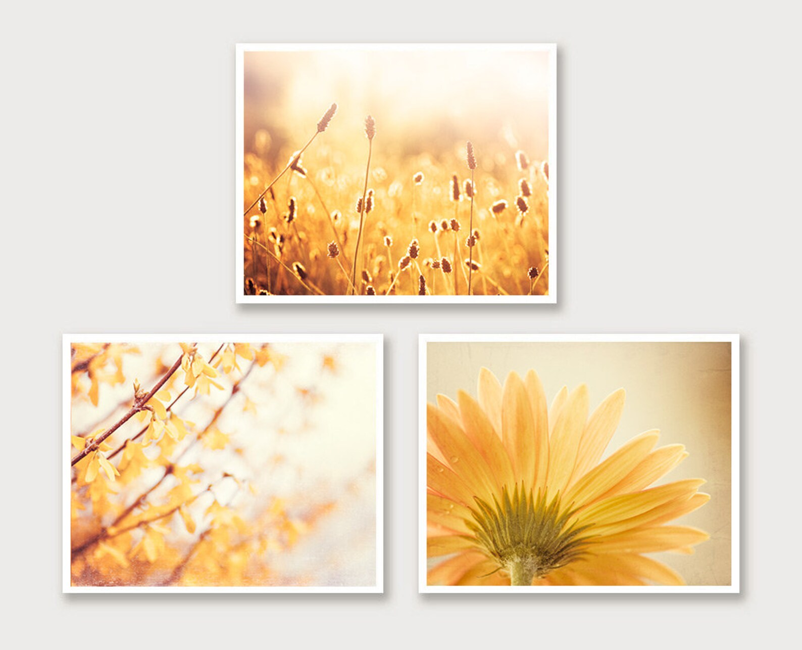 Set of Three Nature Photographs Yellow Gold Photography - Etsy