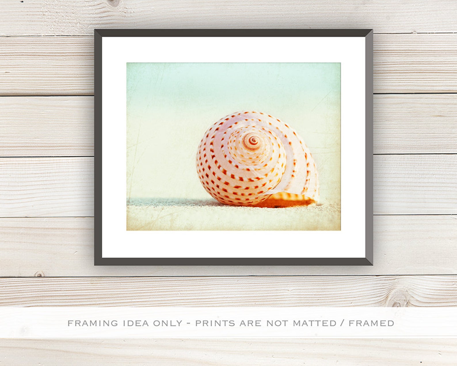 Pastel Beach Print Sea Shell Wall Decor Seashell Print | Etsy